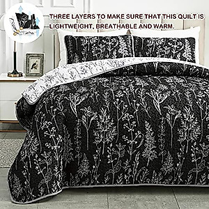 Joyreap 3 Pieces Quilt Set Full/Queen, Black n White Reversible Botanical Design, Smooth Soft Microfiber Quilt, Bedspread Bed Cover for All Season, 1 Quilt and 2 Pillow Shams- 90x90 inches