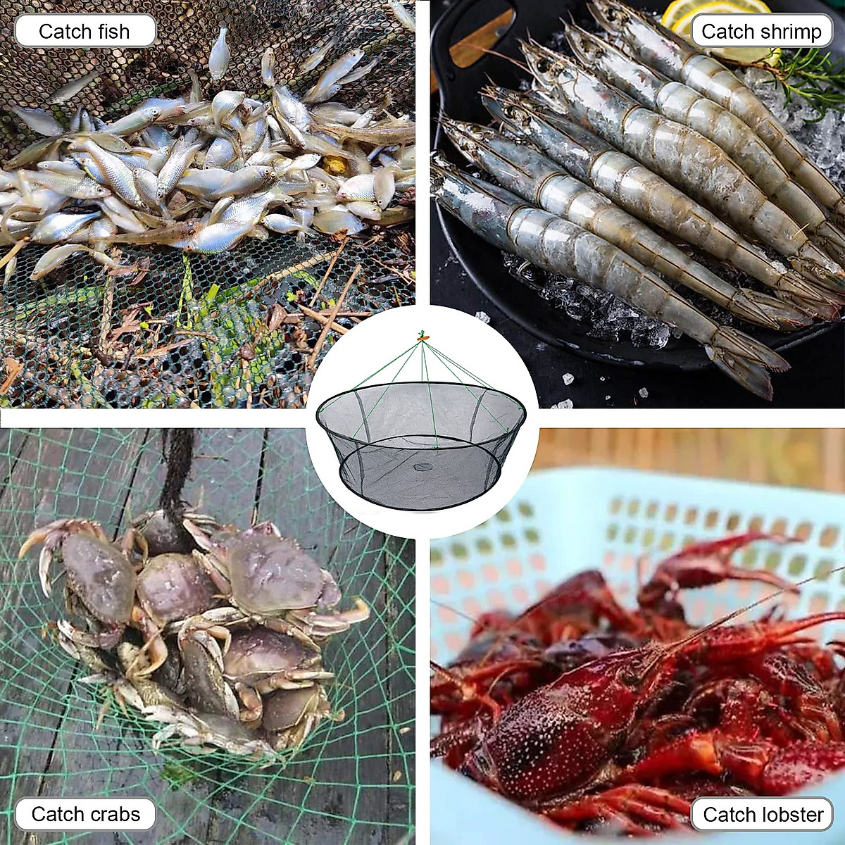 WEISGJA Portable Folded Fishing Net, Crab Net Fish Net with Fishing Rope, Hand Casting Cage Crab Net, Foldable Fishing Mesh Trap for,Minnows,Lobster,Crawfish, Shrimp etc. (39.4inch/100cm)