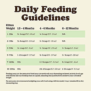 Now Fresh Dry Cat Food for Kittens, Turkey, Salmon and Duck Recipe, 3 lbs - Grain Free, Kitten Food, Made with Real Meat and Fish