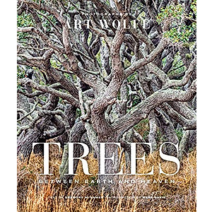 Trees (Gift Edition): Between Earth and Heaven