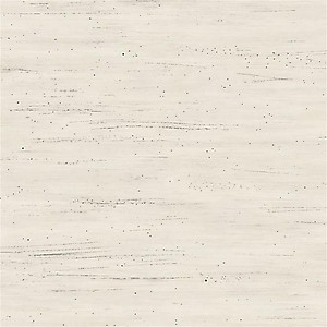 Bush Furniture Salinas 60W L Shaped Desk with Lateral File Cabinet and 5 Shelf Bookcase in Vintage Black