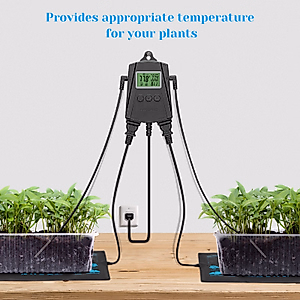 Inkbird WiFi Heat Mat Reptile Thermostat Controller Temperature Controller with 2 Probes and 2 Outlets, IPT-2CH Reptiles Heat Mat Thermostat (Max 250W per Outlet)
