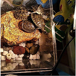 MD Lighting 6-Pack Reptile Heat Lamp Bulb, E26/E27 75 Watt Full Spectrum Sun Light Lamp for Bearde Dragon, Lizard, Turtle, Gecko & More