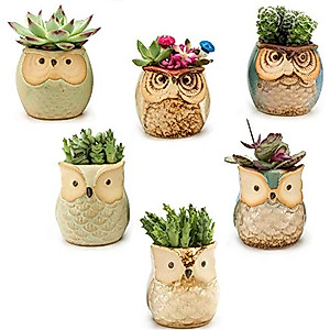 Weierken 12PCS Owl Pot Ceramic Flowing Glaze Base Serial Set Mini Succulent Plant Pot Cactus Plant Pot Container Planter Bonsai Pots with A Hole