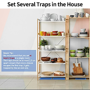 LULUCATCH Mouse & Insect Traps 12 Pack, Heavier Sticky Traps with Non-toxic Glue for Small Mice & Insects. Sticky Mouse Traps Indoor, Easy to Set, Safe to Children & Pets