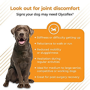 VETRISCIENCE GlycoFlex Plus Hip and Joint Supplement for Dogs, Chewable Tablet â€“ Extra-Strength Joint Support with Green Lipped Mussel, Chondroitin, and Glucosamine for Dogs