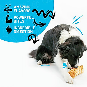 Sitka Farms Bully Dusted Beef Cheek Rolls 5-6" - 4 Count - Extra Thick Dog Chew Bones No Rawhide - Long Lasting Dog Toy - Healthy Teeth and Gums for Small Medium and Large Dogs