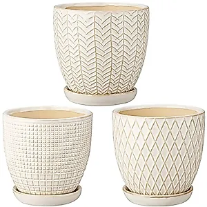 Oairse 4 inches Ceramic Planter Pots 3 Set of Small Round Flower Pots with Drainage Hole and Ceramic Tray for Succulents Cactus Indoor Outdoor Garden Home Windowsill