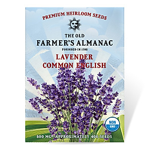 The Old Farmer's Almanac Heirloom Lavender Seeds (Common English) - Approx 360 Seeds - Non-GMO, Open Pollinated
