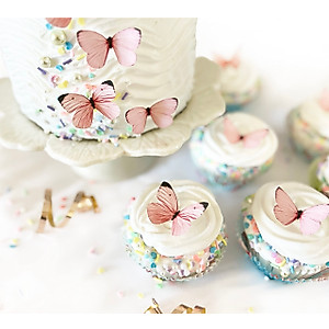 Sugar Robot Edible Butterflies for Cake Decorating - Small Pastel Pink Butterfly Cake Toppers and Cupcake Toppers - Decoration Made in the USA - Premium Crafted (Pink)