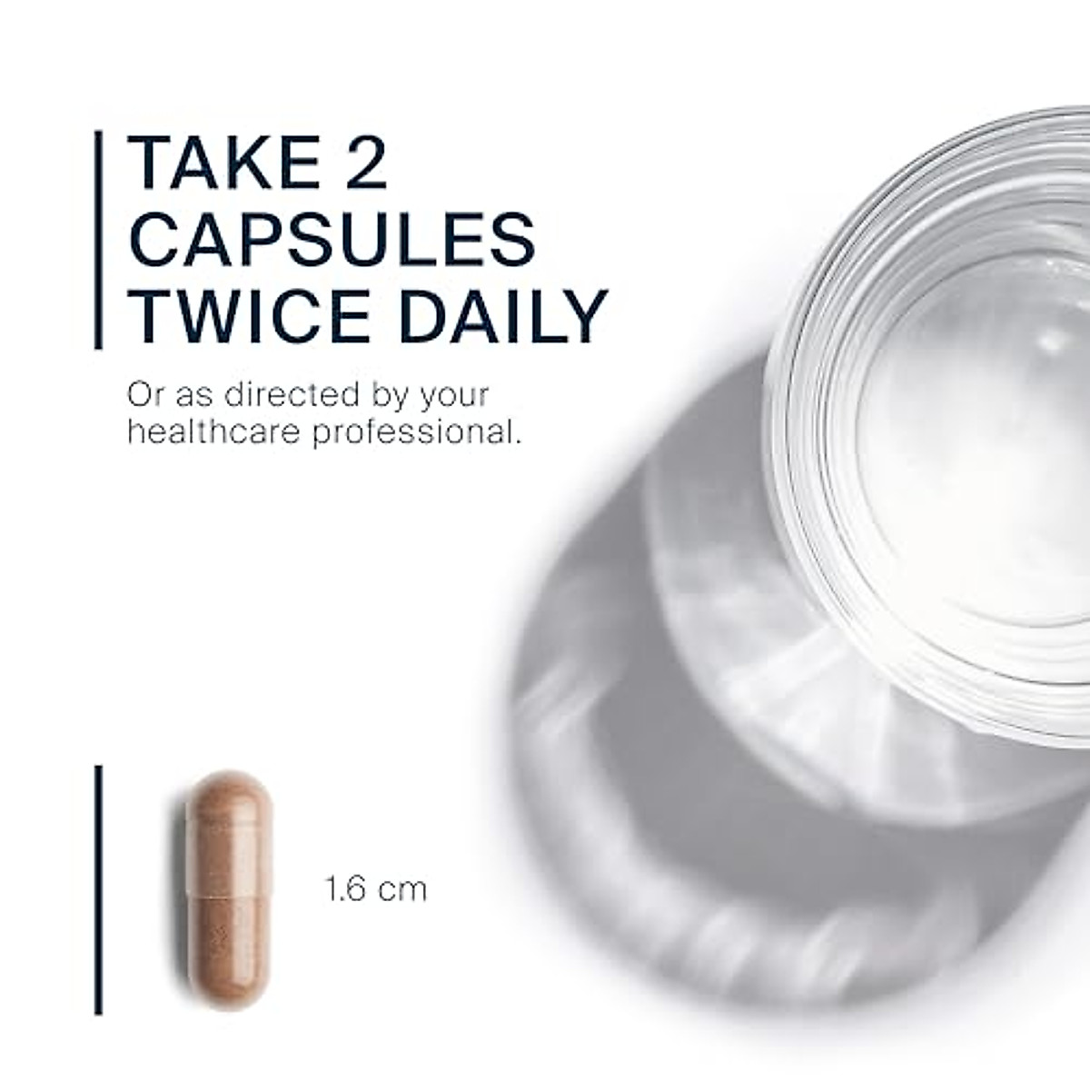 Vital Nutrients - Coleus Forskohlii 10% - Cardiovascular Support - Muscle Relaxation - 60 Vegetarian Capsules per Bottle - 90 mg