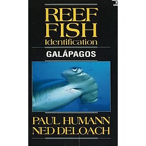 Reef Fish Identification: Galapagos