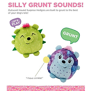 Outward Hound Surprise Hedgies Dog Toys - UNbox and Surprise! Collect All 3 Grunting Hedgies Dog Toys!