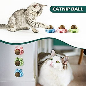 Catnip Ball Toy for Cats Wall 4 Pack Cat Nips Organic Ball Edible Kitten Toys Interactive Cat Lick Chew Toy Indoor Cat Toy Treats for Cat Teeth Cleaning Relieve Cat Anxiety