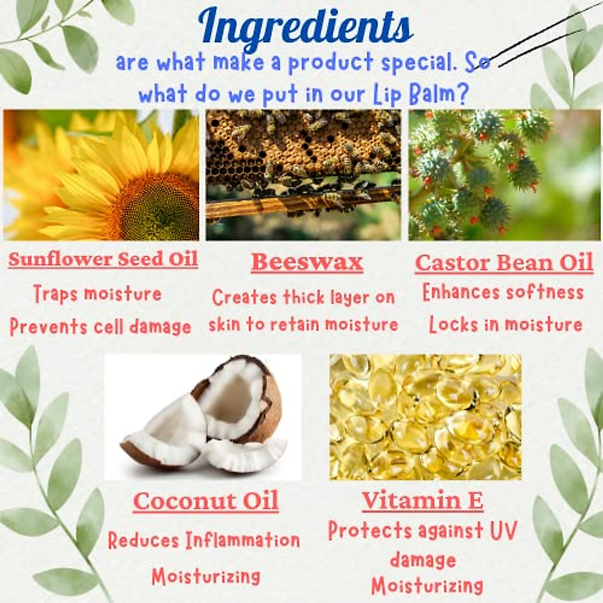 Unflavored Lip Balm for Dry Cracked Lips - Organic Beeswax Lip Moisturizer - Lip Repair For Severely Chapped Lips - Hydrating Moisturizing Lip Care Products - 6 Pack Bulk Set for Kids, Women, Men