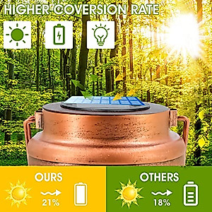 Solar Lantern Lights Outdoor Hanging, Metal Decor Lanterns-Waterproof LED Decorative Light for Garden, Patio, Yard Tree (Dragonfly)