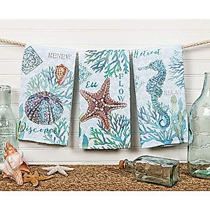 Kay Dee Designs Set of 3 Beachcomber Dual Purpose Terry Kitchen Towels
