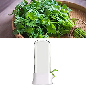 TBEOEN Keeper for Refrigerator,Fresh Keeper,Herb Saver Pod Container,Plastic Saver Pod, Cilantro Storage Container for Mint Parsley Asparagus