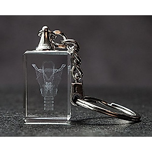 Larynx 3D Laser Crystal Key Chain, Anatomy, Voice Box, Singing, Adam's Apple