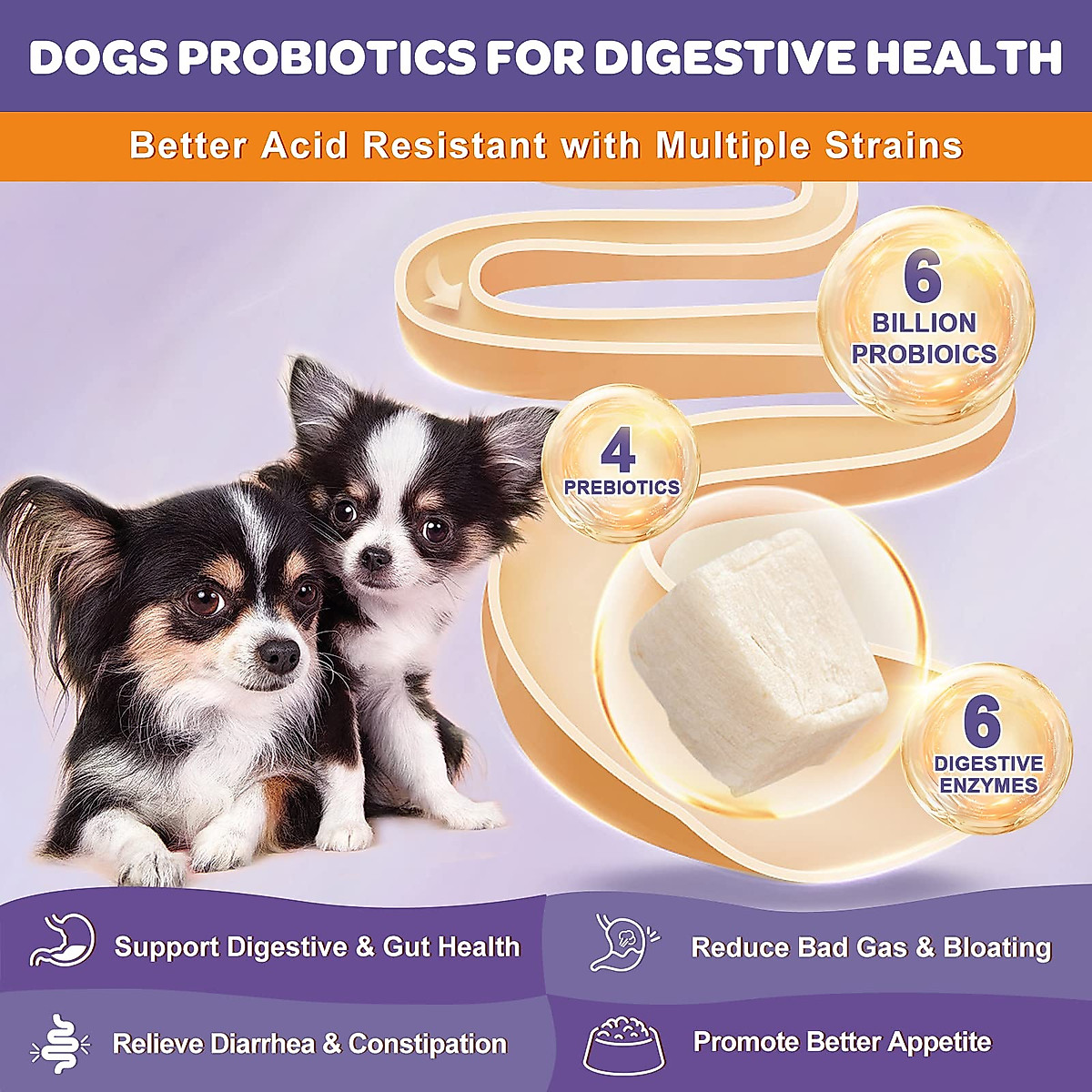 Probiotics for Dogs - Omega 3 Fish Oil for Dogs