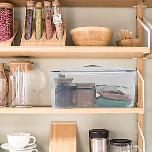 Dehouse 15 L Airtight Rectangular Food Storage Container with Top Handle, Set of 4 Plastic Clear Food Storage Container with Latch Clip