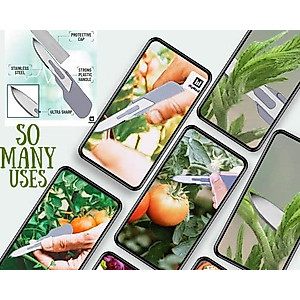 MyMed Disposable Mini #10 Scalpel Dermablade | Mini Box Cutter #10 Sharp Carbon-Steel #10 Scalpel Blades | Pack of 25 for Dermaplaning, Podiatry, Opening Boxes and Mail, Crafts & More