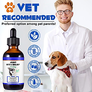 Dog Joint Aid & Relief Supplement with Chondroitin & Glucosamine HCl – Relieves Joint Pain & Reduces Inflammation for Senior Dogs, Active Adults & Puppies