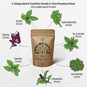 7 Basil Herb & 20 Most Popular Vegetable Seeds Variety Packs Bundle Non-GMO Heirloom Seeds for Planting Indoor and Outdoor Over 3200 Herbs & Vegetables Seeds in One Value Bundle