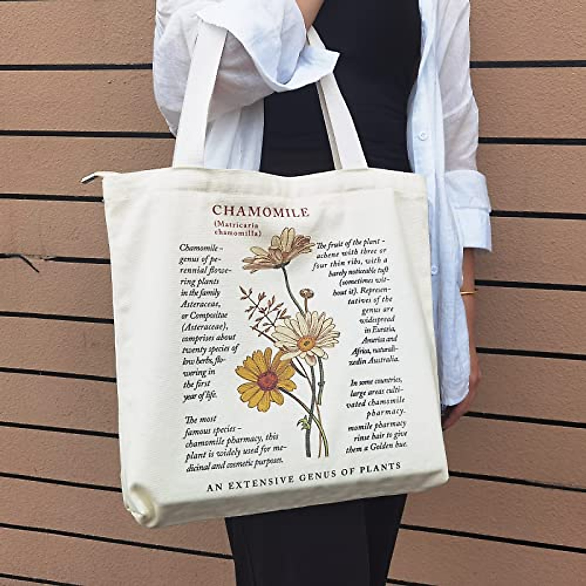 Keanoo Canvas Tote Bag, Aesthetic Tote Bag for Women School Shoulder Bag with Zipper Gift Bag for Teacher's Day