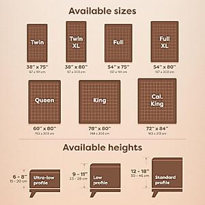 HOSPITOLOGY PRODUCTS Mattress Encasement - Zippered Bed Bug Dust Mite Proof Hypoallergenic - Sleep Defense System - Twin - Waterproof - Stretchable - Ultra Low Profile 6" Depth - 38" W x 75" L