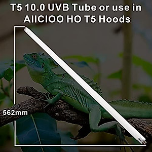 Aiicioo T5 HO Reptile UVB Light - Desert UVA UVB 10.0 Fluorescent Lamp 22" Tube Lighting High Output for Lizard Bearded Dragon 24W