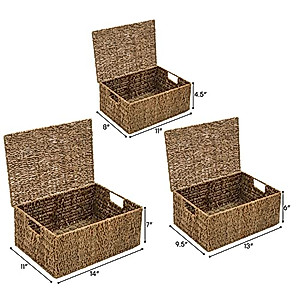 Set of 3 Rectangular Seagrass Baskets with Lids by Trademark Innovations