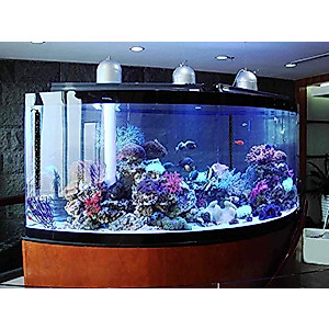 ZHGSERVU 100W/300W/500W Aquarium Heater Submersible 10-90 Gallon 300 Watt Fish Tank Heater with Durable Quartz Glass Protective Sleeve Auto Thermostat for Fresh-Water & Salt-Water