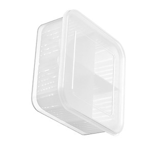 Generic Vegetable Storage Container, Draining Storage Containers 4 Compartments with Lid for Ginger Garlic for Picnic, Genericwbvqg87gr3