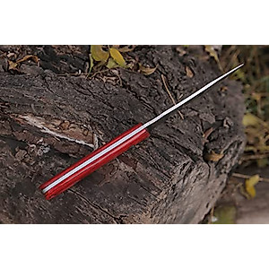 Exemplary Knives 9'' Handmade Fixed Blade knife with Cowhide Leather Sheath with integrated belt loop Stainless Steel Blade and Highly Polishing Red Pakkawood handle with Comfortable Grip for Outdoor Hunting, Hiking, Skinning, Camping and Bushcrafting.