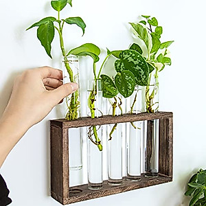 Ivolador Wall Mounted Hanging Plants Terrarium Test Tube Flower Bud Tabletop Glass Wooden Stand with 5 Test Tube Perfect for Propagating Hydroponic Plants Home Garden Wedding Decoration