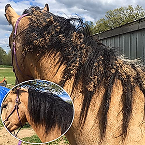 The Blissful Horses Shine-On Detangling Spray, 16-Ounce