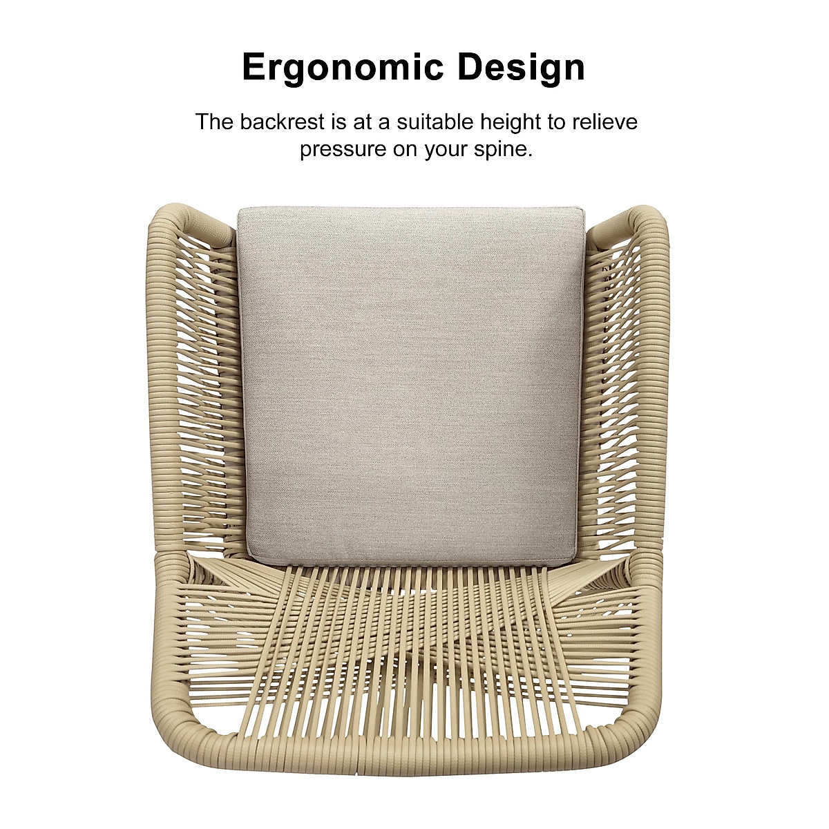 PURPLE LEAF 2 Pieces Outdoor Patio Dining Chairs All-Weather PE Rattan Patio Furniture with All Aluminum Frame for Lawn Garden Backyard Deck, Champagne