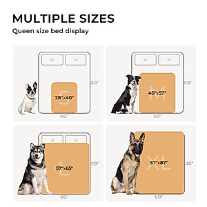 Luciphia Waterproof Pet Blankets for Couch Sofa Bed Cover Liquid Pee Proof Washable Soft Fluffy Large Dog Blanket Reversible Furniture Protection Grey X-Large（85" x 57"）