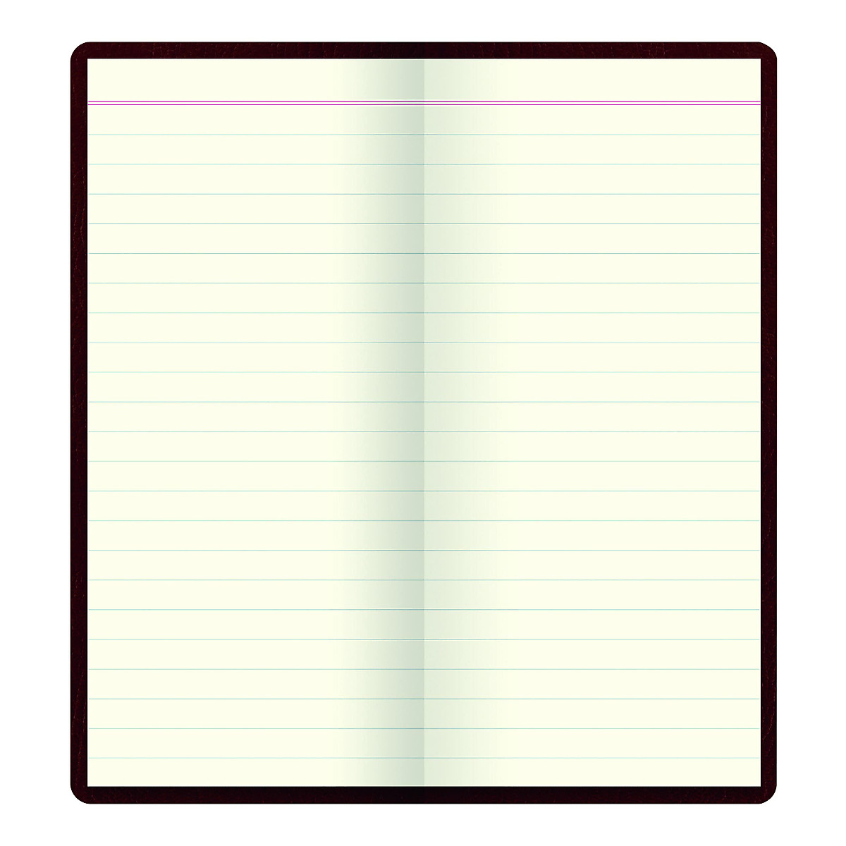 Letts Note Origins Collection Slim Pocket Size Notebook with Gold Pen, Ruled, 240 Pages, Cream Paper, 5.75" x 2.75", Chocolate (B090013)