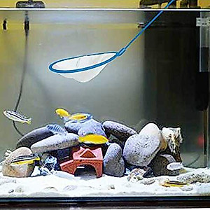 E-outstanding Baby Brine Shrimp Net 3PCS Plastic Artemia Sieves Super Dense Filter Mesh Aquarium Fish Tank Tool for Artemia Eggs New Born Fish