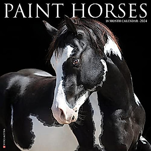 Willow Creek Press Paint Horses Monthly 2024 Wall Calendar (12" x 12")