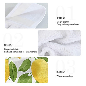 Boccsty Lemon Hanging Kitchen Towels 2 Pieces Summer Lime Tree Branch Dish Cloth Tie Towels Hand Towel Tea Bar Towels for Bathroom Farmhouse Housewarming Tabletop Home