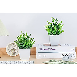 ZJIA 2 Packs Small Fake Plants Artificial Greenery Plants in Pots for Home Bedroom Bathroom Farmhouse Kitchen Decor Indoor