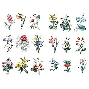 Seasonstorm Fresh Flower Floral Aesthetic Diary Travel Journal Paper Stickers Scrapbooking Stationery Sticker Flakes Art Supplies (PK437)