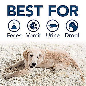 Simple Solution Extreme Pet Stain And Odor Remover, Enzymatic Cleaner With 3X Pro-Bacteria Cleaning Power, 32 Ounces