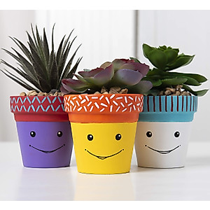 Apple Barrel Acrylic Paint in Assorted Colors (8 oz), J20407 Hunter Green