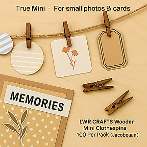 LWR CRAFTS Wooden Mini Clothespins 100 Per Pack 1" 2.5cm (Jacobean)