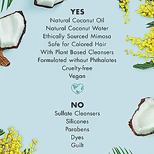 Love Beauty And Planet Sulfate Free Shampoo Volumizing Shampoo for Fine Hair Coconut Water and Mimosa Flower Refill Bottle for use with Reusable Aluminum Bottle 32.3 oz ( Packaging may vary )