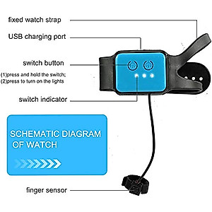 GoolRC RC Stunt Car, 4WD 2.4GHz Remote Control Car, Deformable All-Terrain Off Road Car, 360 Degree Flips Double Sided Rotating Race Car with Gesture Sensor Watch Lights Music for Kids (Blue)